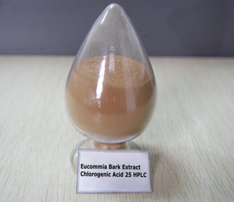 Eucommia Bark Extract - Pine Pollen Powder, Cell Cracked Pine Pollen ...