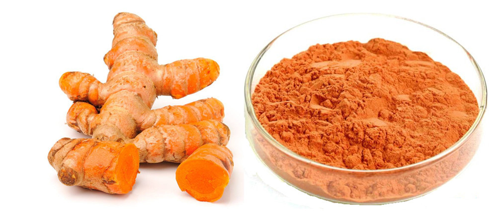 Curcumin 95% HPLC, Turmeric Root Extract Powder