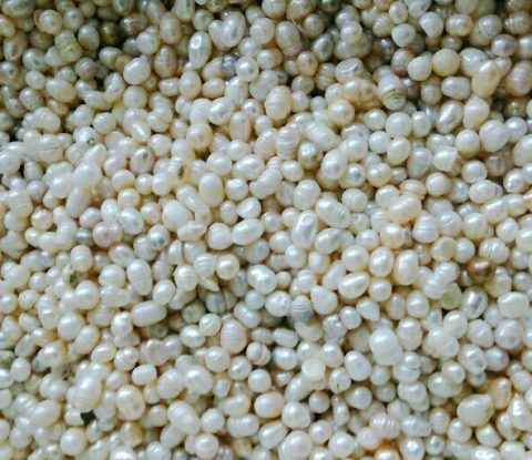 Pearl Powder(Hydrolyzed ), Food & Cosmetic Grade, Nano Pearl Powder