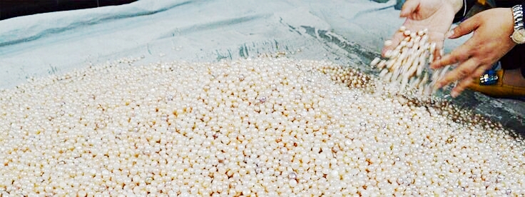 Pearl Powder(Hydrolyzed ), Food & Cosmetic Grade, Nano Pearl Powder