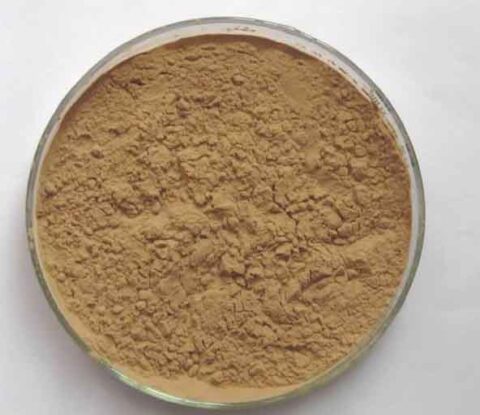 Ginger Root Extract Powder, Gingerol 5%,10% HPLC, 10:1, 20:1, 50:1 TLC
