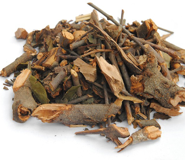 Taxillus Chinensis Extract(Sang Ji Sheng Extract) - Pine Pollen Powder ...